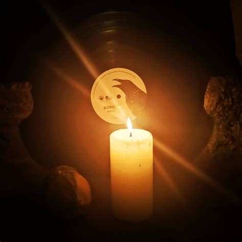 Линда Ворона Пикабу