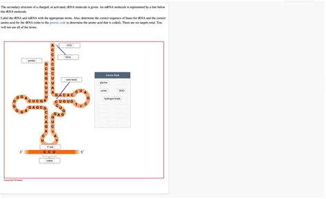 Solved The Secondary Structure Of A Charged Or Activated