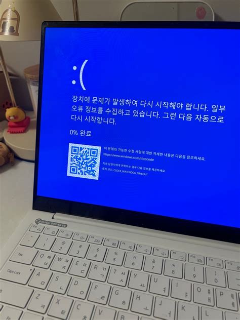 노트북 블루스크린 지식in