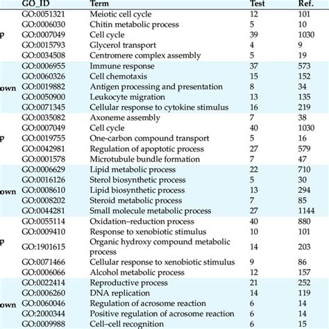 Top Ten Significantly Enriched Go Terms Including Up And Down