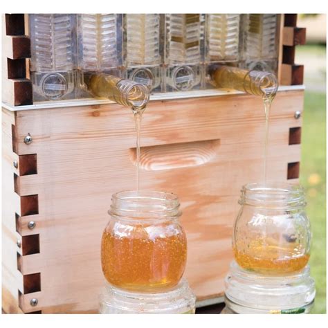 Set Of Flow Hive Frames