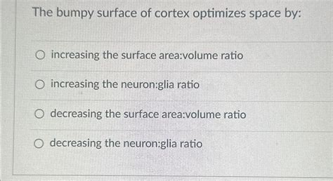 Solved The Bumpy Surface Of Cortex Optimizes Space