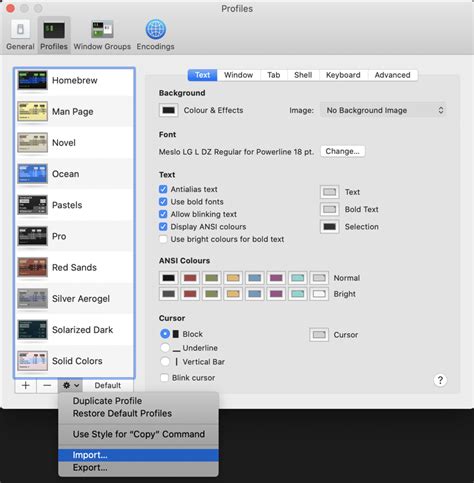 How I Customise My Terminal With Oh My Zsh MacOS DEV Community