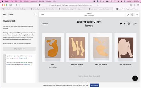 Lightbox Caption Styling Site Design And Styles Squarespace Forum