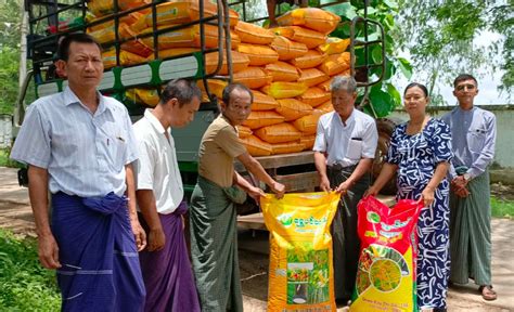 ပေါင်းတည်၌ သမဝါယမအသင်းသားတောင်သူများ၏ မိုးစပါးစိုက်ခင်းများအား ကွင်းဆင်းကြည့်ရှု Information