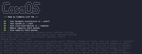 Alpha Bug Cannot Install Casaos On Rasberry Pi · Issue 589 · Icewhaletechcasaos · Github