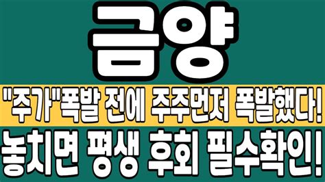 금양 주가전망 주가 폭발 전에 주주먼저 폭발 미리 확인하고 대응준비 김프로금양2차전지4695에스엠랩