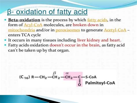 Beta Oxidation Pptx