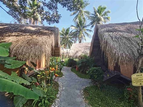 黎族茅草屋茅草屋大山谷图库