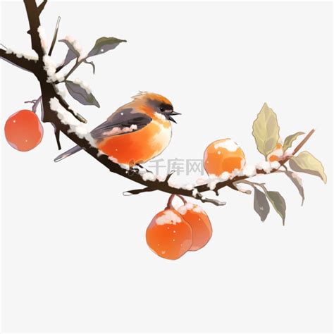 霜降柿子冰霜卡通元素手绘素材图片免费下载 千库网