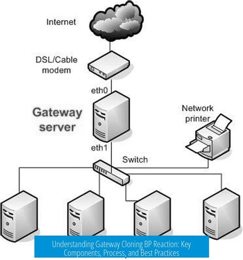 Understanding Gateway Cloning Bp Reaction Key Components Process And Best Practices