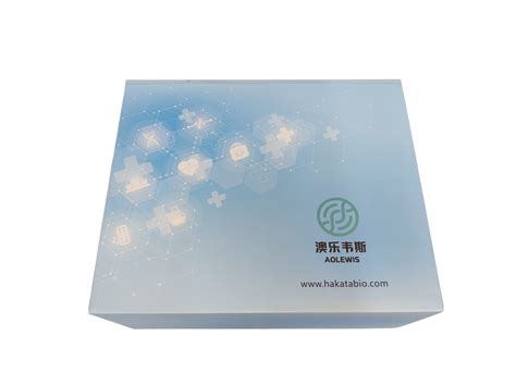 大鼠树突状细胞表面特异性c型凝集素 细胞间黏附分子3结合非整合素分子dc Signcd209elisa试剂盒 上海慧颖生物科技有限公司