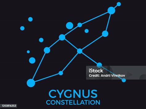 고니자리 밤 하늘에 별입니다 별과 은하의 클러스터 검은 색 배경에 파란색의 별자리입니다 벡터 일러스트레이션 Planetarium