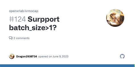 Surpport Batch Size 1 Issue 124 Openxrlab Xrmocap GitHub