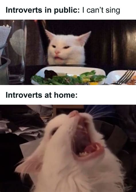 50 Introverts Share Spot On And Funny Memes About Their Struggles On