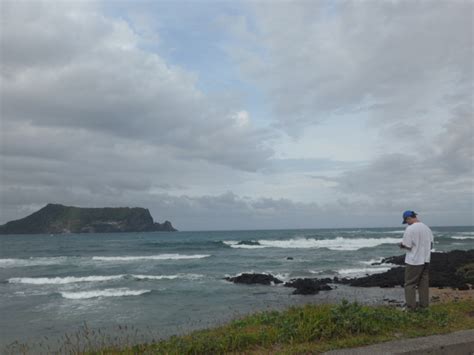 [하이에나 Life] Entp의 삶 여행하는 삶에 대해 방황하는 하이에나들을 위한 블로그