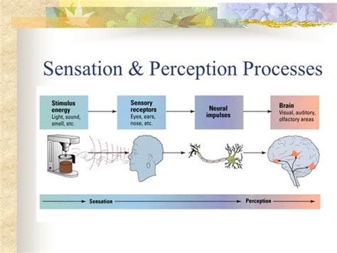 Mix Qs Flashcards Quizlet Mix Qs Flashcards Quizlet