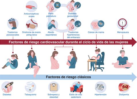 Prevención Cardiovascular Primaria Y Secundaria En Los Ciclos Vitales