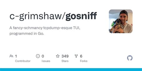 Gosniff A Tui Based Tcpdump Lovingly Built With The Bubbletea Framework R Golang