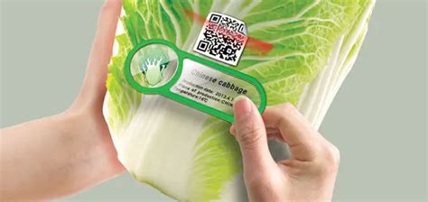 Fridge Magnet With QR Code Scanner To Keep You Up To Date With Your Food Condition In The Fridge
