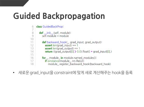Cnn Visualization Implementaion Ppt