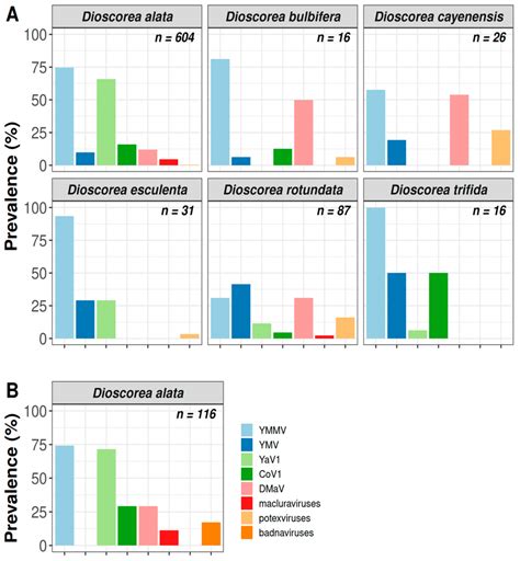 Maximum Likelihood Phylogenetic Tree Showing The Relationships Between Download Scientific