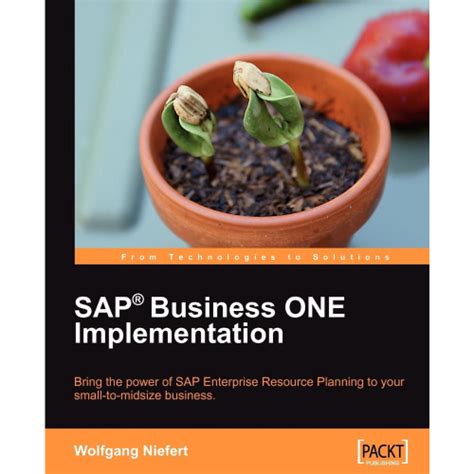 Sap Business One Implementation Submarino