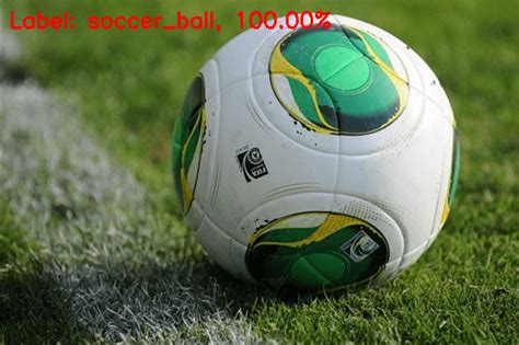 Pytorch Image Classification With Pre Trained Networks Pyimagesearch