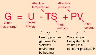 Gibbs Free Energy Function Overall Science