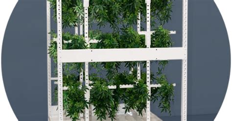 Cannabis Drying Racks Spacesaver Storage Solutions
