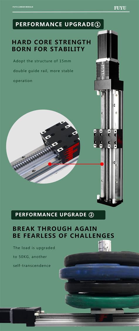 Double Rails Support Flip Load Optional Servo Motor Ball Screw Linear
