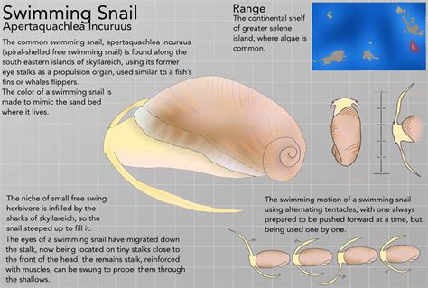 Skyllareich Swimming Snail Rspeculativeevolution