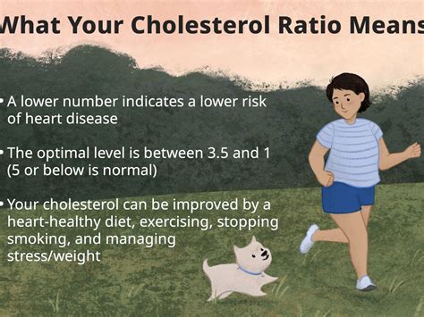 How To Improve Cholesterol Ratio Contestgold8