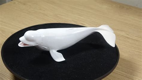 3d Scanned Dolphin Stl Dive Into Digital Precision By Locus Prints