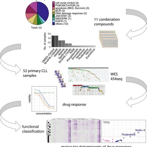 Synergistic Interactions In Cll A Heatmap Summarizing All Synergistic Download Scientific