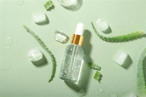 Choosing The Best Aloe Vera Gel Products In 2025 A Comprehensive Guide