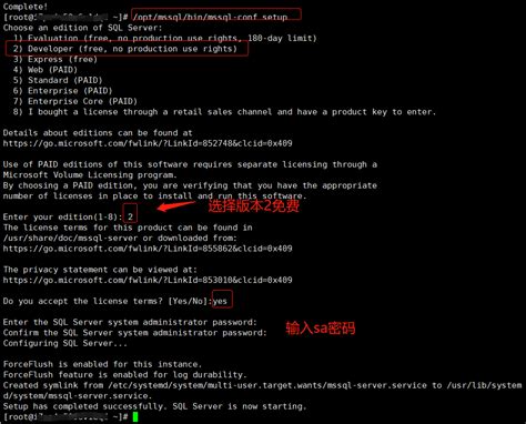 Centos79安装sql Server 岁末年初 博客园