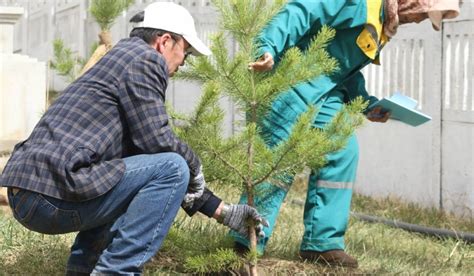 Өнөөдөр “Бүх нийтээр мод тарих үндэсний өдөр” эхэлж байна