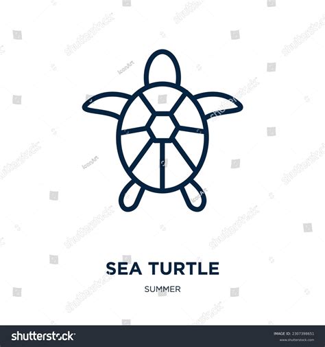 Simple Turtle Outline
