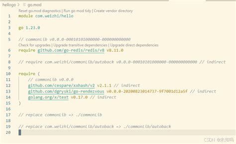 golang本地自定义包的引用 CSDN博客