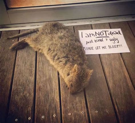 Same Album On Imgur Same Album On Imgur