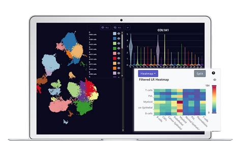 C DIAM For Single Cell Data Analysis Pythia Biosciences