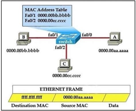 Ccna Questions 101 200 Random Take The Quiz Quizmaker