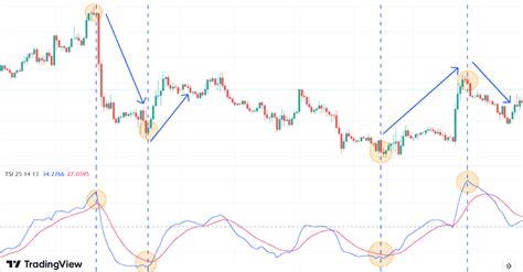 True Strength Index Tsi Indicator Explained A Step By Step Guide To