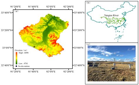 Modelling The Influence Of Vegetation On The Hydrothermal Processes Of