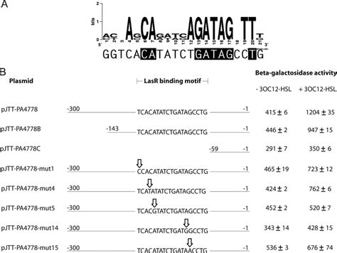 A Lasr Binding Motif Upstream Of Cuer A The Weblogo Shown Here Is A Download Scientific