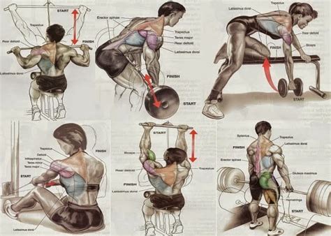 15 Back Exercises For Mass Top 10 Back Exercises Ejdhr