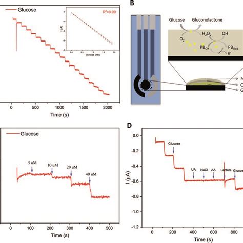 Characterization Of Glucose Sensor A Amperometric Current Response Download Scientific