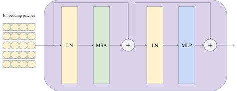 Step By Step Vision Transformer