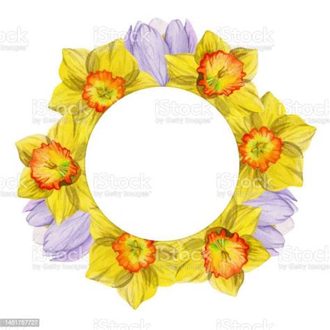 수채화 손으로 그린 원형 화환에는 봄 꽃 수선화 크로커스 헌병 나뭇잎이 있습니다 흰색 배경에 격리 초대장 결혼식 인사말 카드